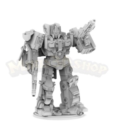 Defensor